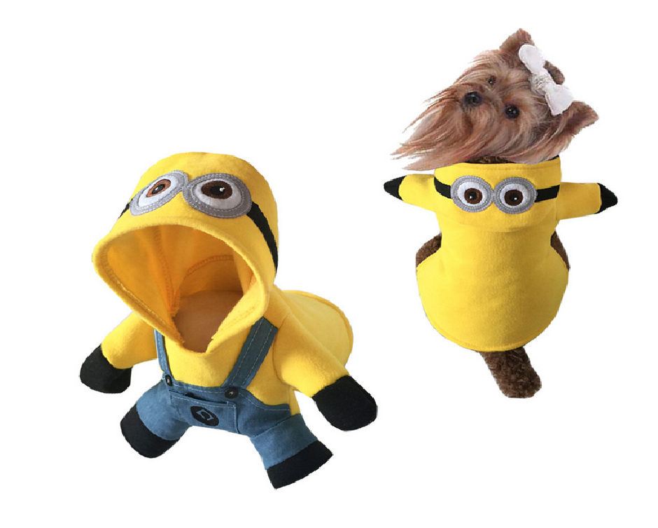 $20 for a Cute Minion Pet Outfit - Free Shipping! | Buytopia